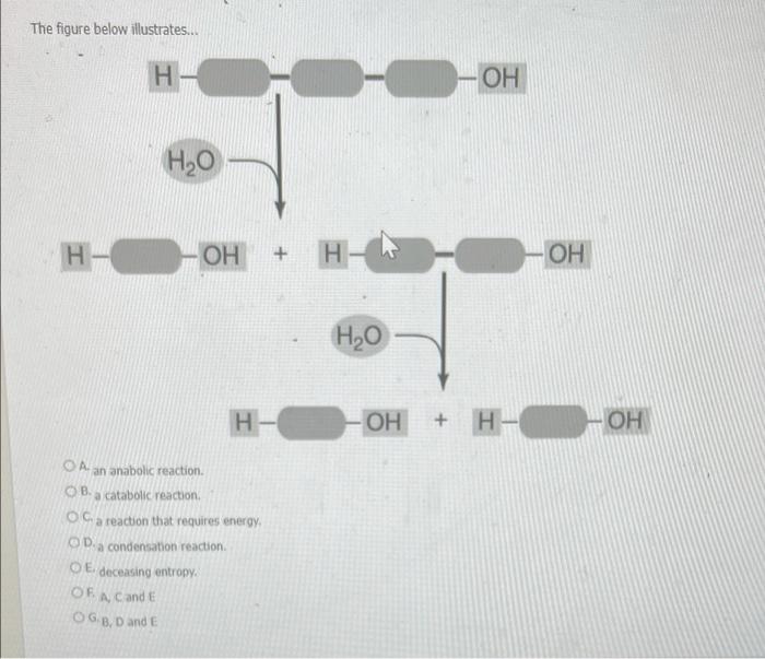 Solved The figure below illustrates... H- НО H-OH + н- OA an | Chegg.com