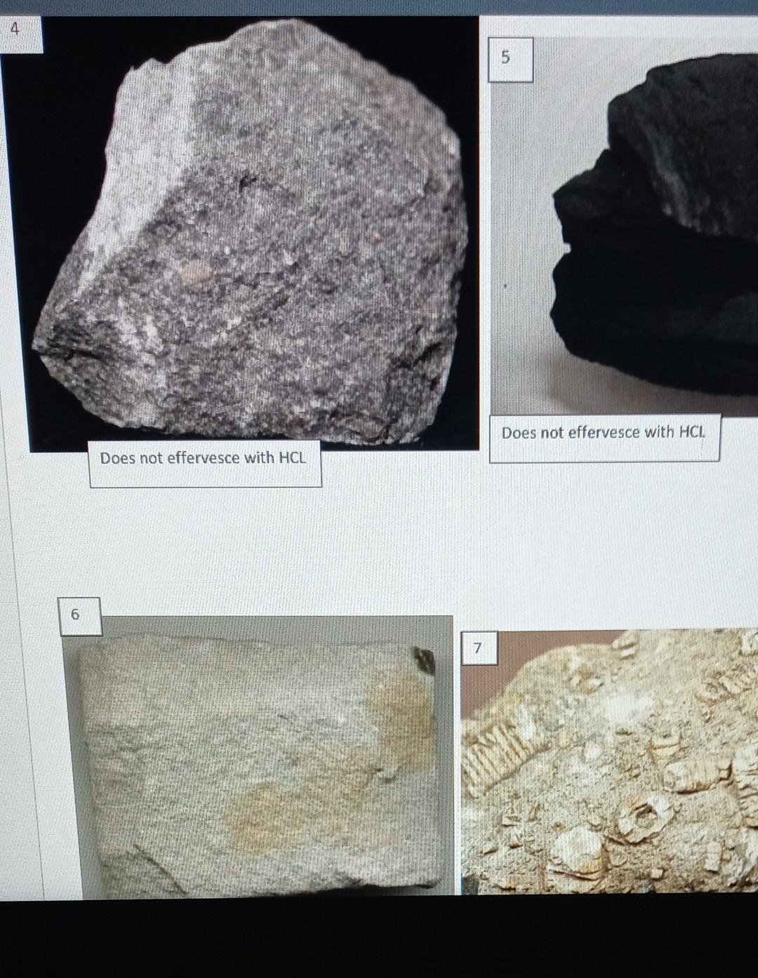 Solved Sedimentary Rock Identification KEY Texture Clastic | Chegg.com