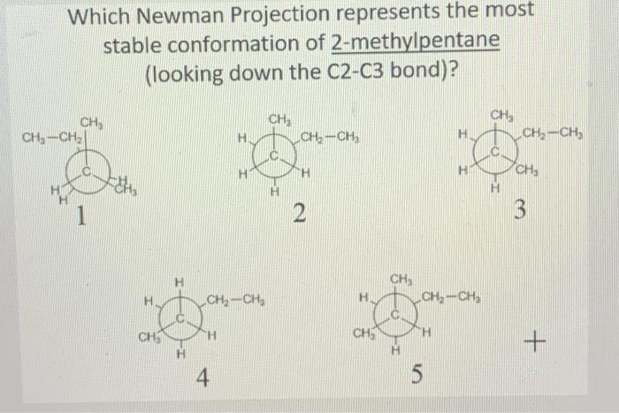 Solved Which Newman Projection represents the most stable | Chegg.com