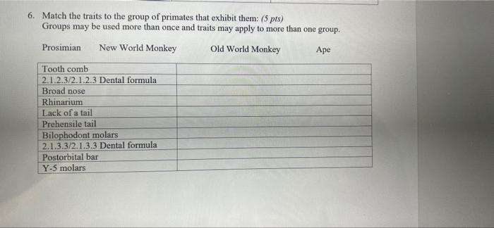Solved 6. Match the traits to the group of primates that | Chegg.com
