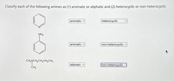 Solved Classify each of the following amines as (1) aromatic | Chegg.com