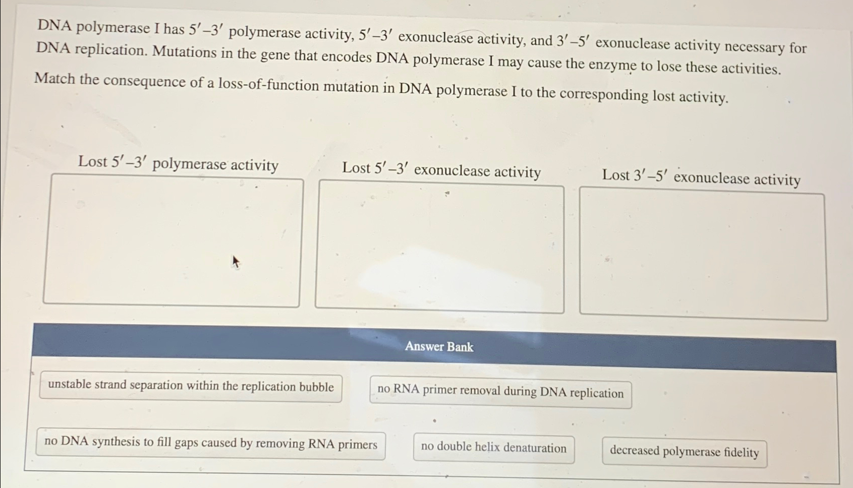Solved DNA polymerase I has 5'-3' ﻿polymerase activity, | Chegg.com
