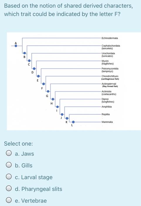 Solved Based on the notion of shared derived characters, | Chegg.com