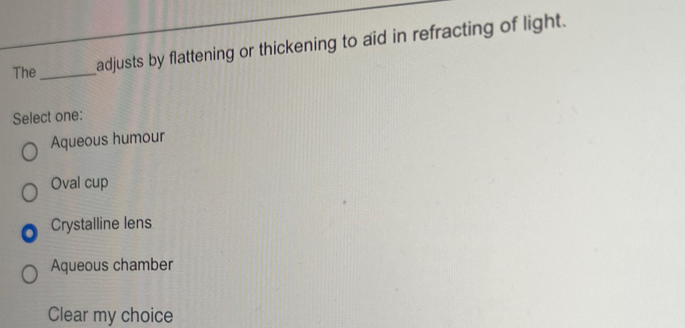 Solved The adjusts by flattening or thickening to aid in | Chegg.com