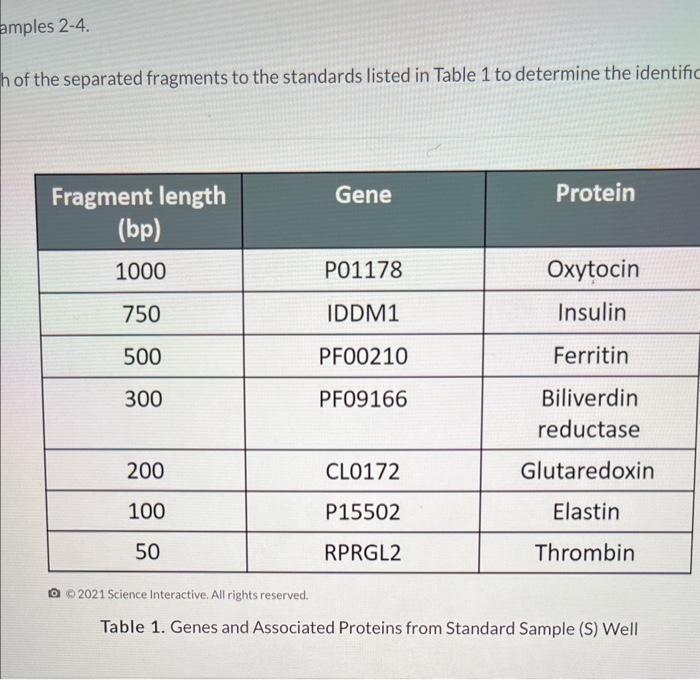 Solved record the identifications if the separated fragments | Chegg.com