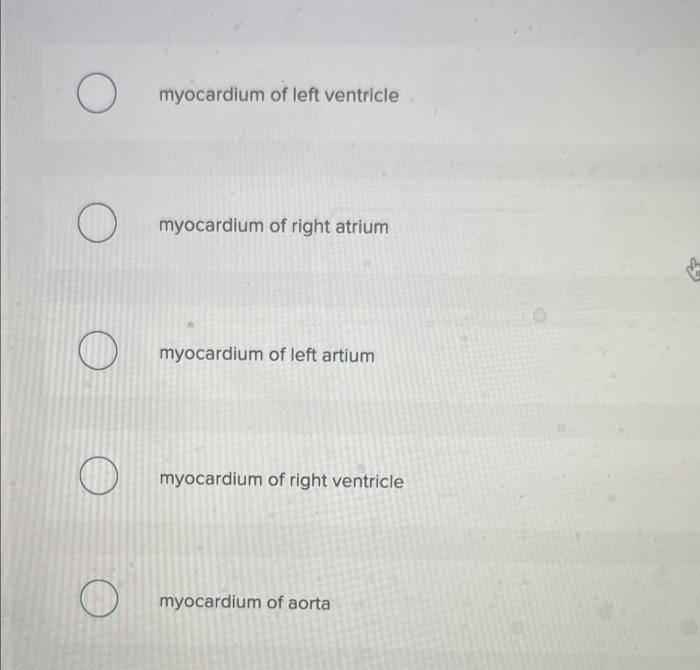 Solved Which structure is highlighted? 0 O myocardium of | Chegg.com