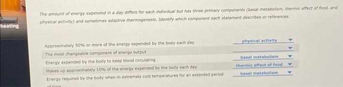 Solved The amount of energy expended in a day differs for | Chegg.com