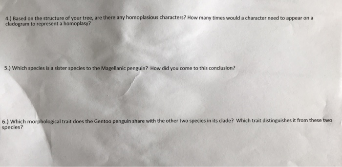 Penguin Phylogeny YOU MUST build your cladogram based | Chegg.com