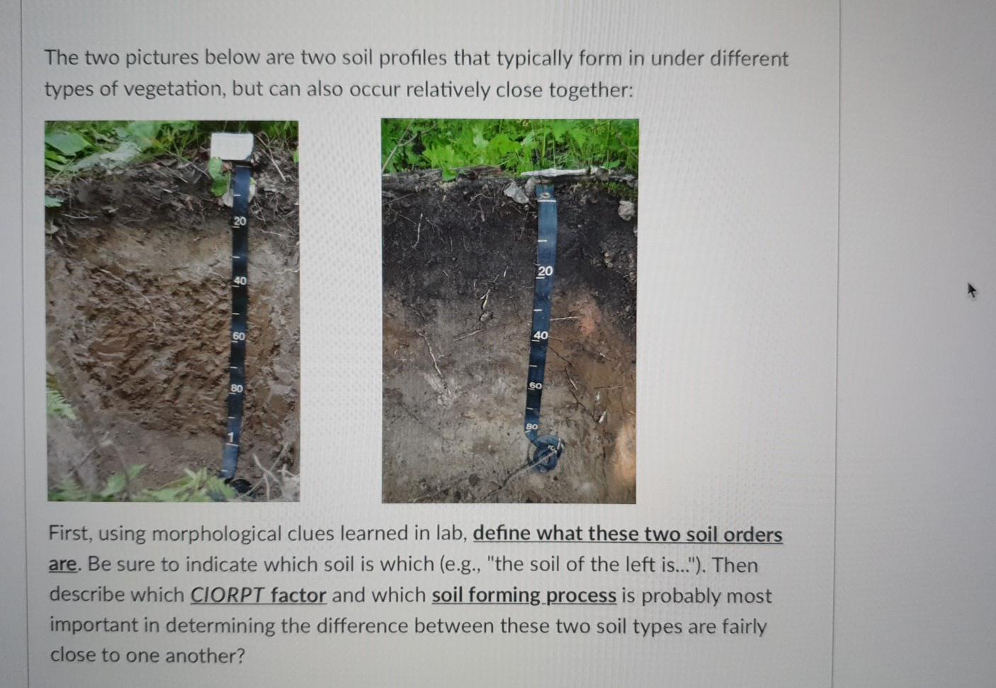 Solved The two pictures below are two soil profiles that | Chegg.com