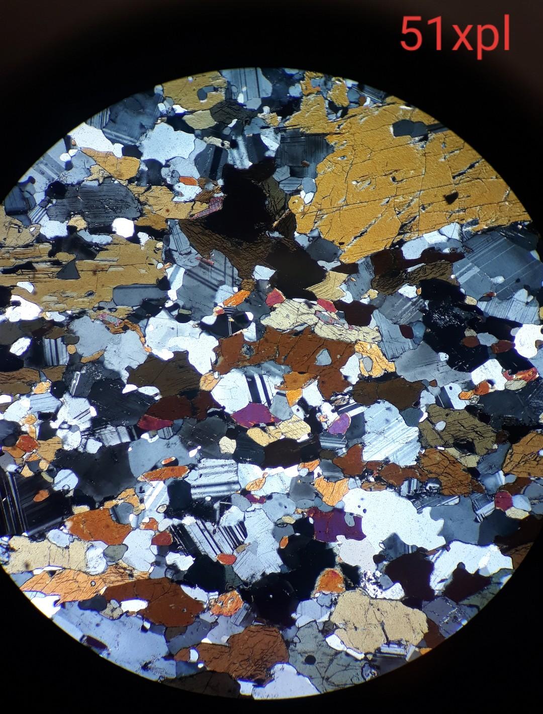 Solved every thin section is captured in plain and cross | Chegg.com