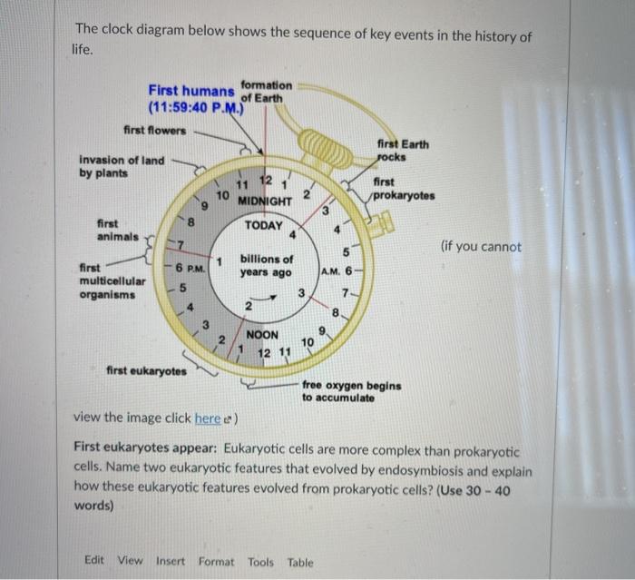 Solved The clock diagram below shows the sequence of key | Chegg.com