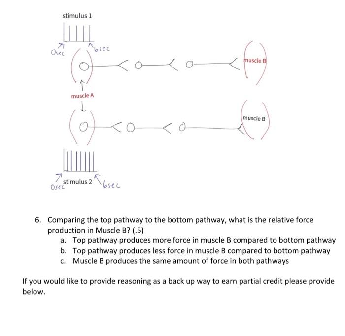6. Comparing the top pathway to the bottom pathway, | Chegg.com
