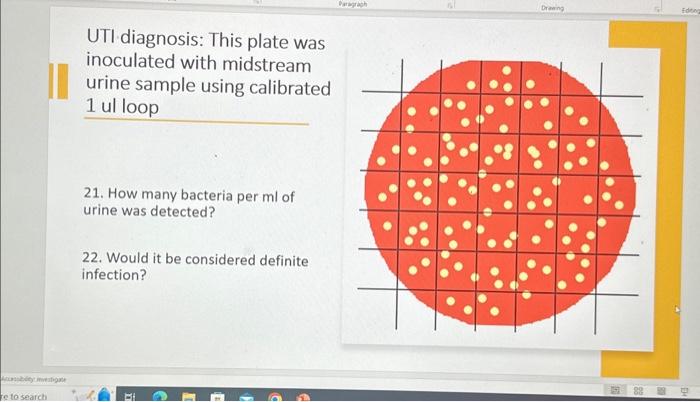 Solved UTI diagnosis: This plate was inoculated with | Chegg.com