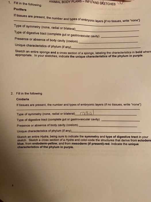 Solved ANIMAL BODY PLANS - INFO AND SKETCHES 1. Fill in the | Chegg.com