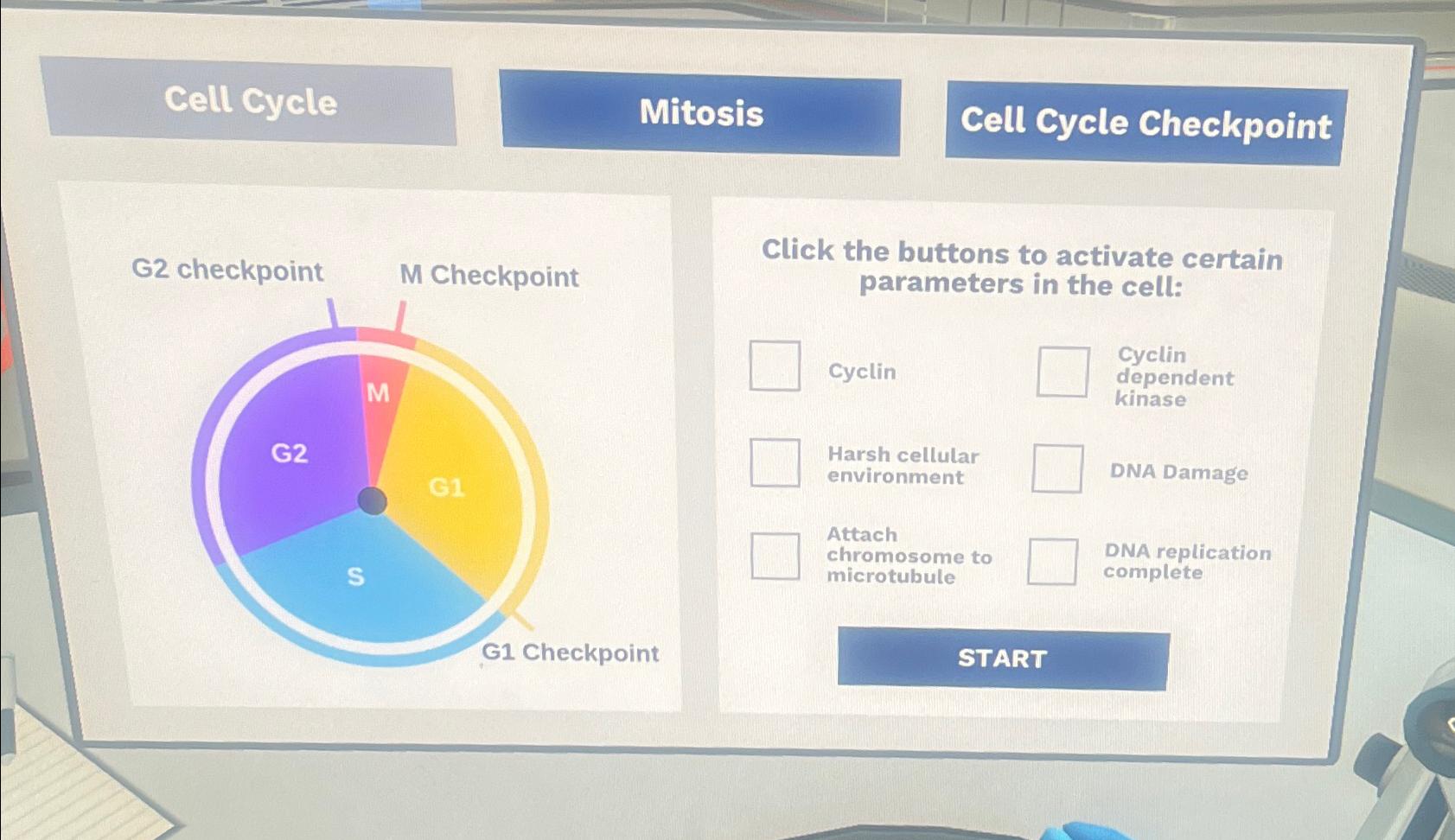 Solved Cell Gycle | Chegg.com