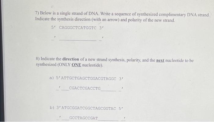 Solved 7) Below is a single strand of DNA. Write a sequence | Chegg.com