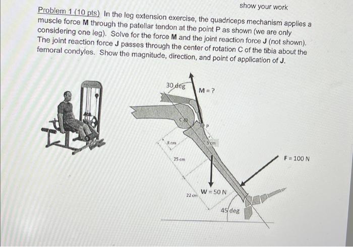 Solved Problem 1 (10 pts) In the leg extension exercise, the | Chegg.com
