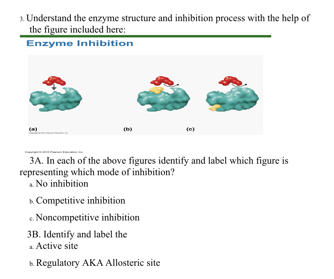 Solved Understand the enzyme structure and inhibition | Chegg.com