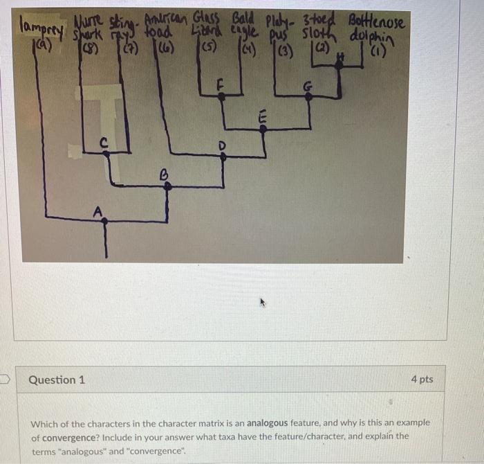 Solved Use the character matrix & cladogram below to answer | Chegg.com
