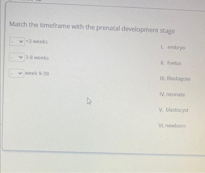 Solved Match the timeframe with the prenatal development | Chegg.com