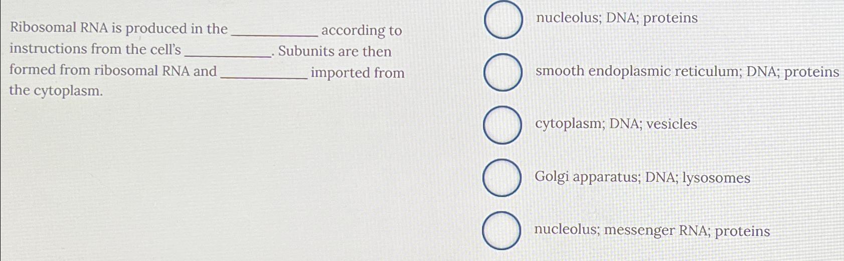 Solved Ribosomal RNA is produced in the according to | Chegg.com
