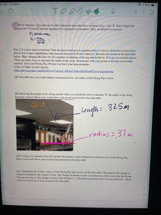 13 PM Fri Feb 5 60% 5 + Flying Pig Lab Activity Name | Chegg.com