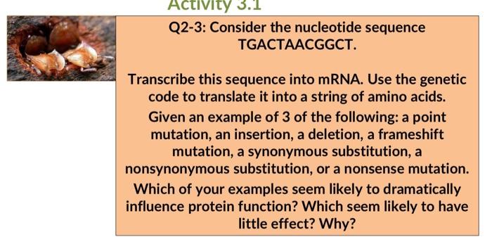 Solved Q2-3: Consider the nucleotide sequence TGACTAACGGCT. | Chegg.com
