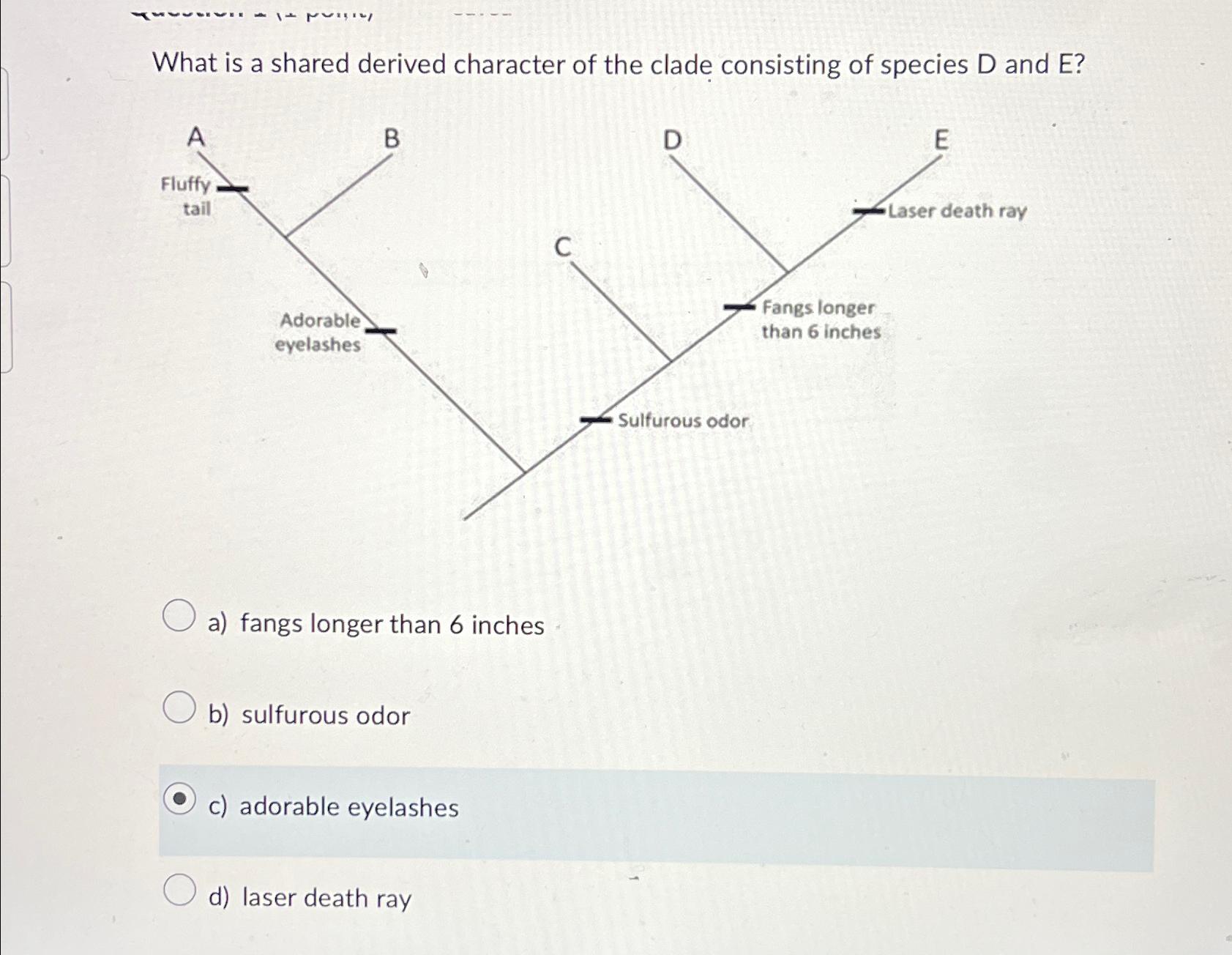 Solved What is a shared derived character of the clade | Chegg.com