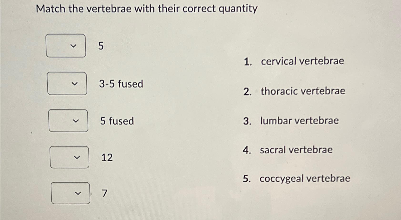 Solved Match the vertebrae with their correct | Chegg.com