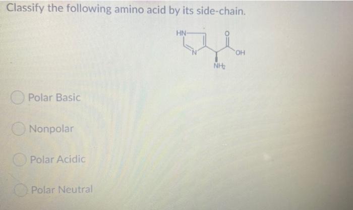 Solved Classify the following amino acid by its side-chain. | Chegg.com