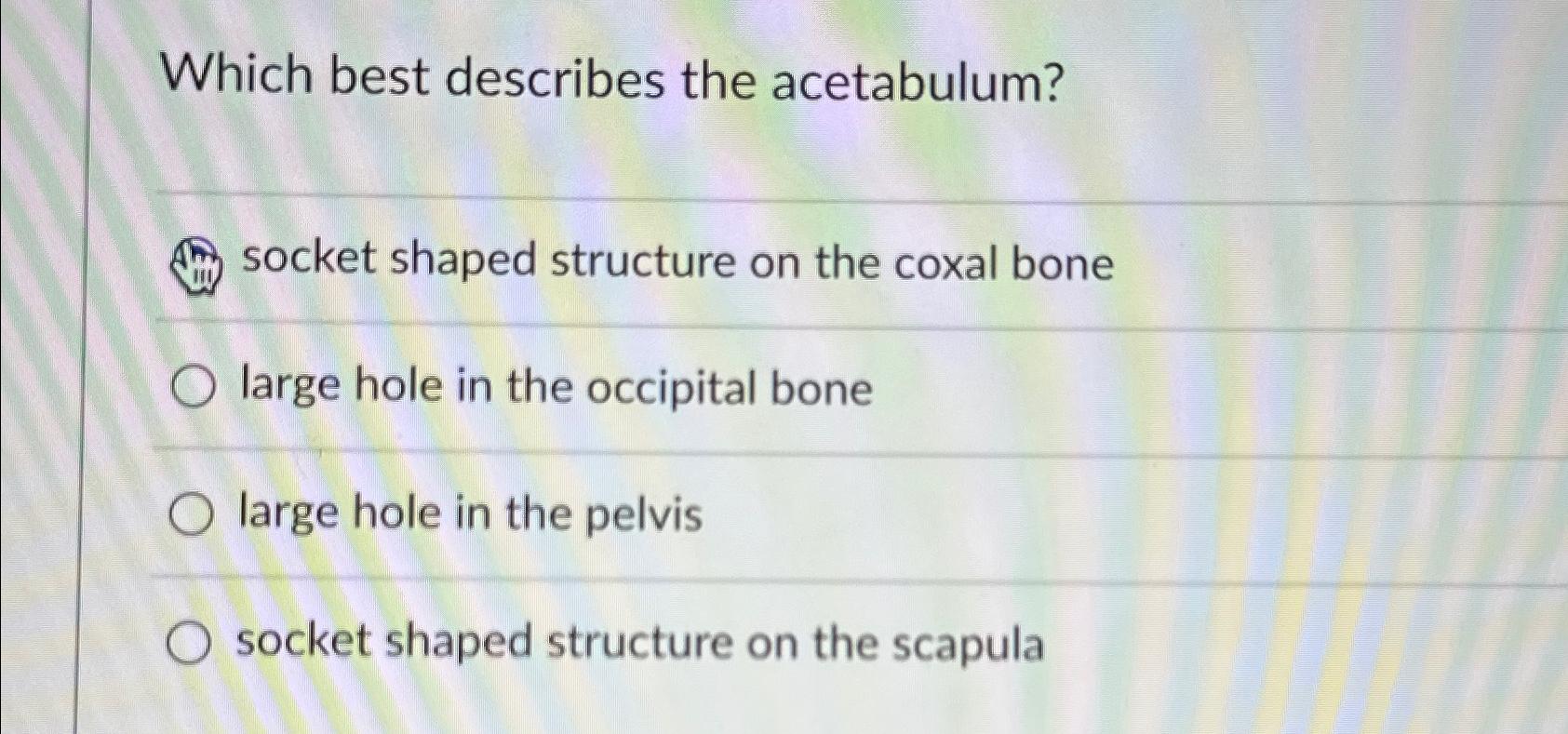 Solved Which best describes the acetabulum?socket shaped | Chegg.com