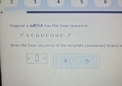 Solved Suppose a mRNA has this base sequence:5°- C C ﻿GUC | Chegg.com