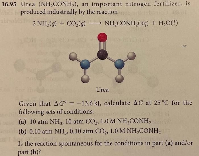 Solved 16.95 Urea (NH CONH2), an important nitrogen | Chegg.com