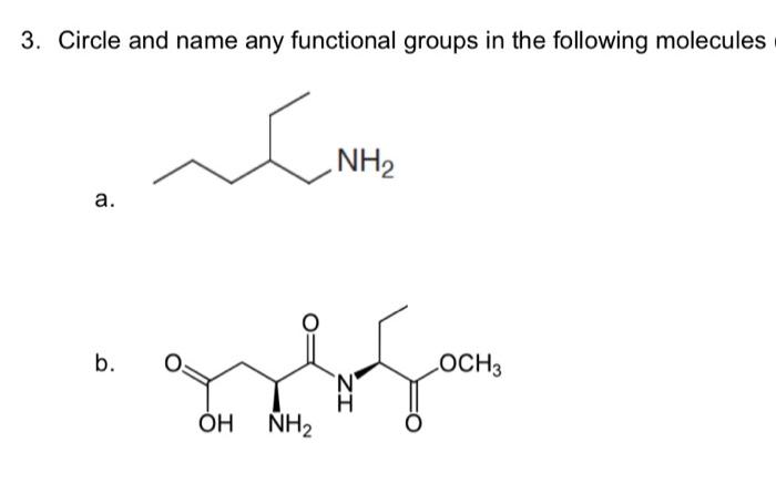 Solved 3. Circle and name any functional groups in the | Chegg.com