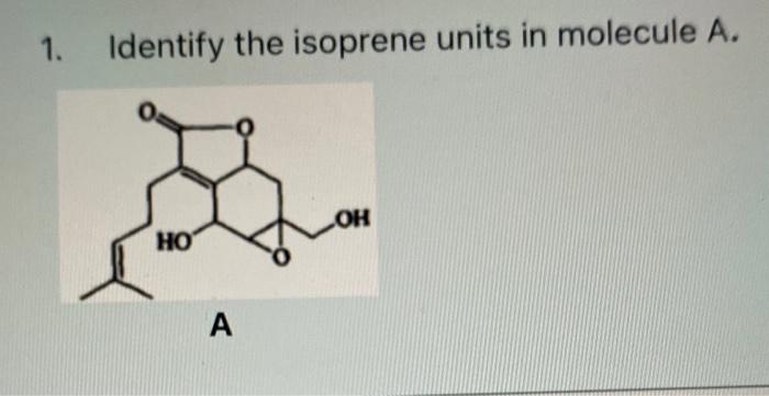Solved 1. Identify the isoprene units in molecule A. ОН НО A | Chegg.com