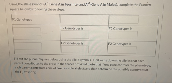 Solved Using the allele symbols A (Gene A in Teosinte) and | Chegg.com