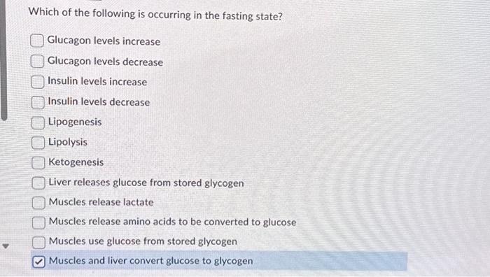 Solved Which of the following is occurring in the fasting | Chegg.com
