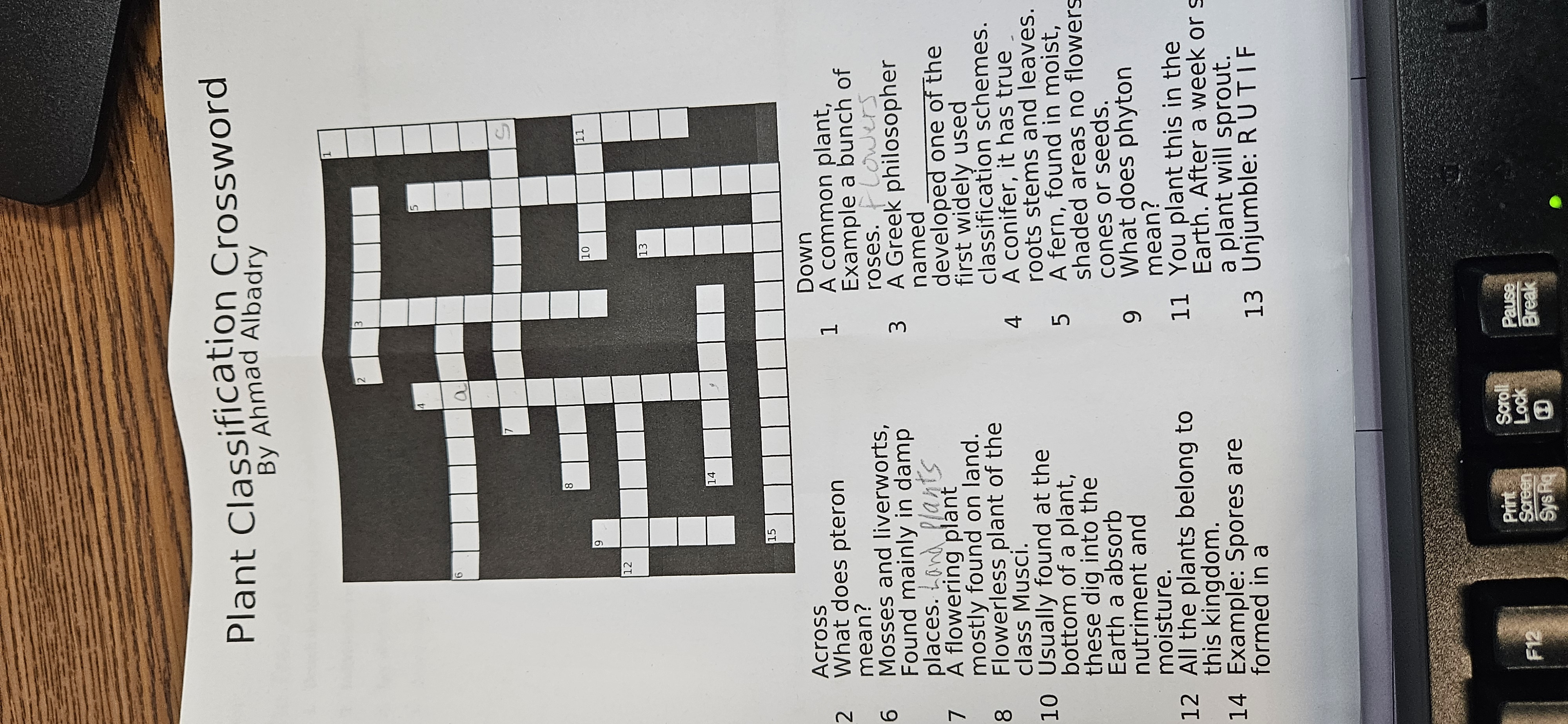 Solved Plant Classification CrosswordAcrossWhat does | Chegg.com