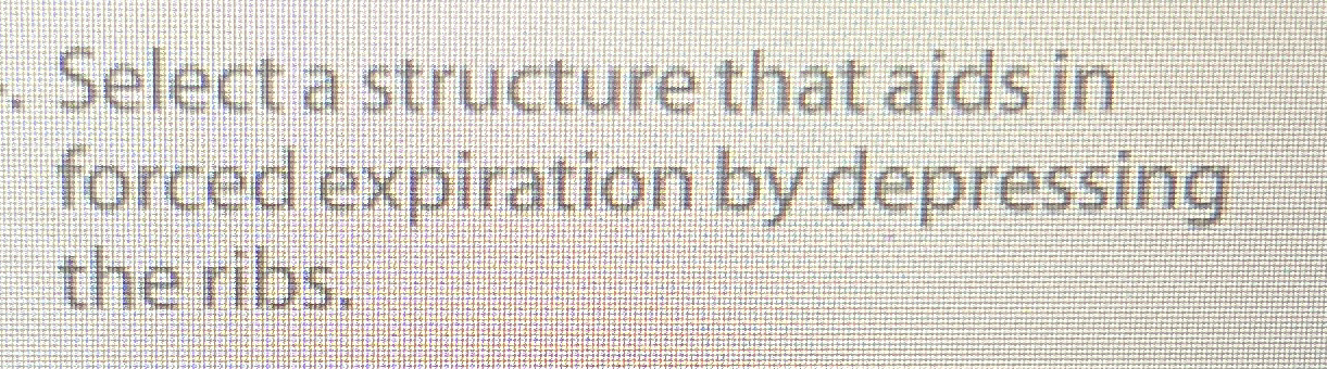 Solved Select a structure that aids inforced expiration by | Chegg.com