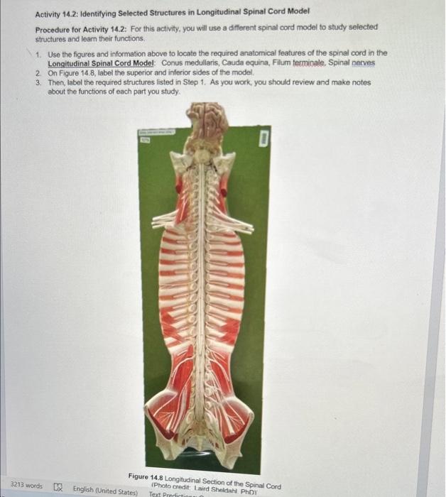 Solved Activity 14.2: Identifying Selected Structures in | Chegg.com