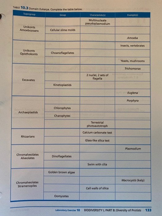 Solved TABLE 10.3 Domain Eukarya Complete the table below. | Chegg.com