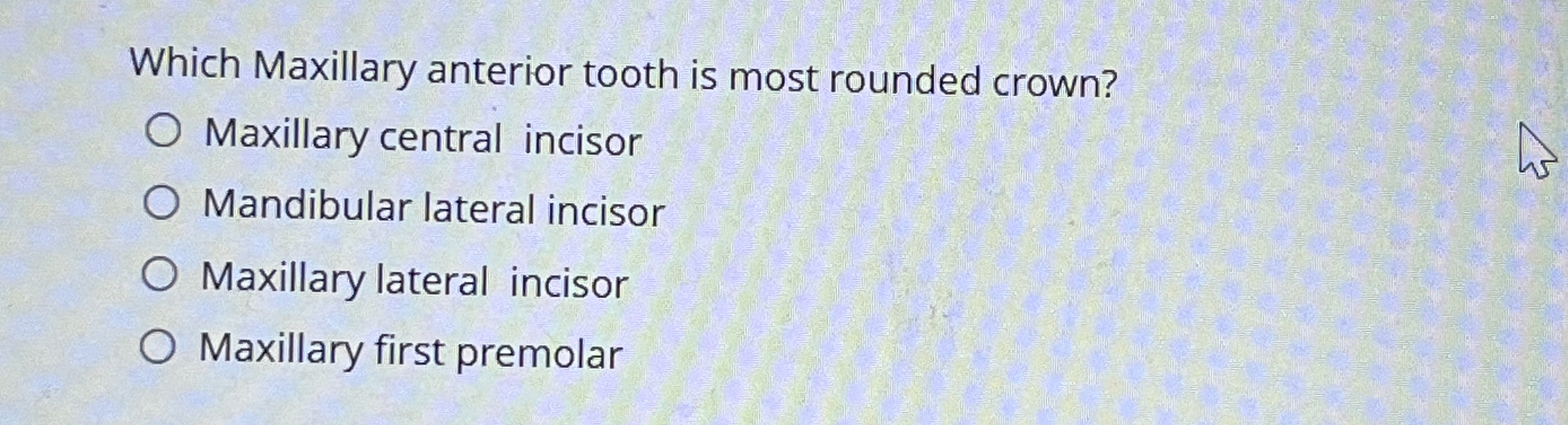 Solved Which Maxillary anterior tooth is most rounded | Chegg.com