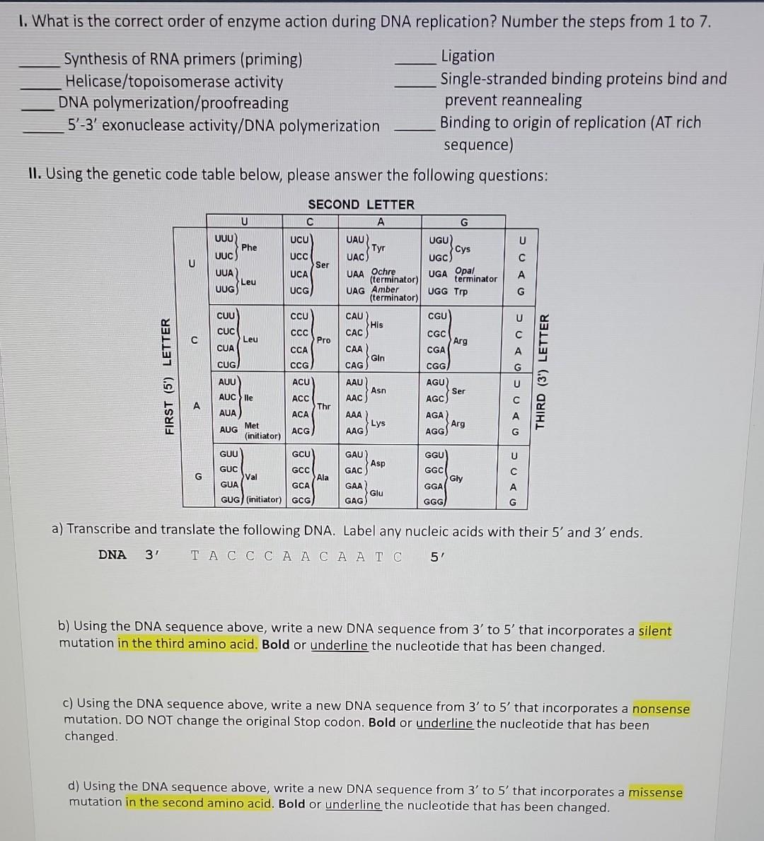 Solved I. What is the correct order of enzyme action during | Chegg.com