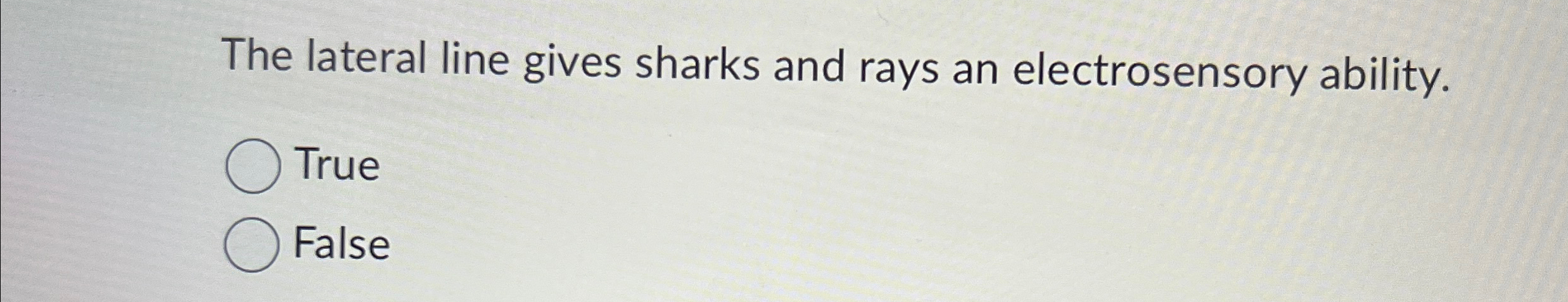 Solved The lateral line gives sharks and rays an | Chegg.com