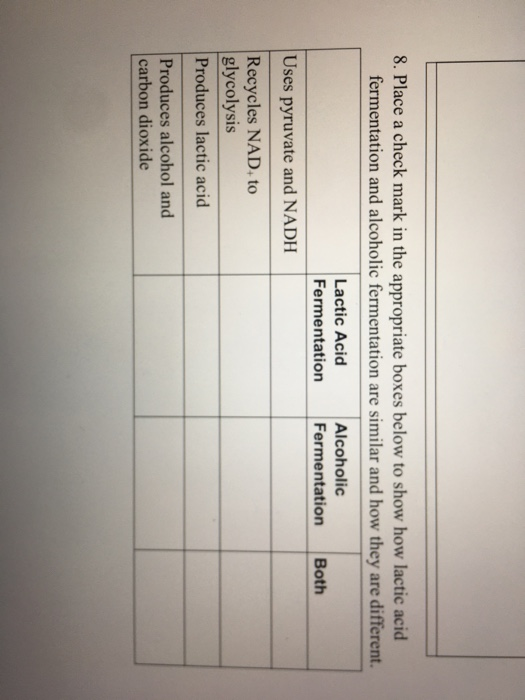 Solved VOCABULARY fermentation lactic acid MAIN IDEA: | Chegg.com