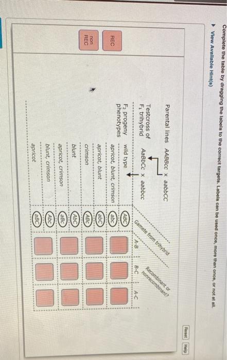 Solved Complete the table by dragging the labels to the | Chegg.com