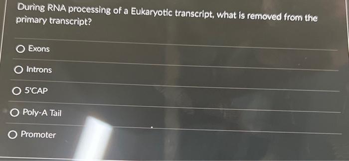 Solved During Rna Processing Of A Eukaryotic Transcript