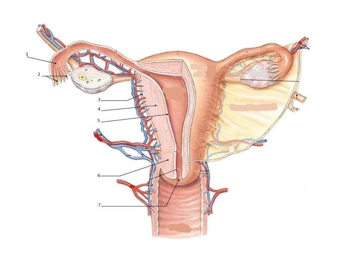 Solved please label | Chegg.com