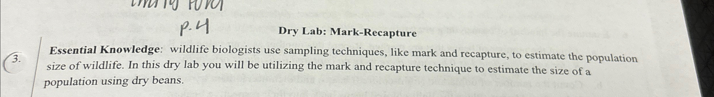 Solved p. 4Dry Lab: Mark-RecaptureEssential Knowledge: | Chegg.com