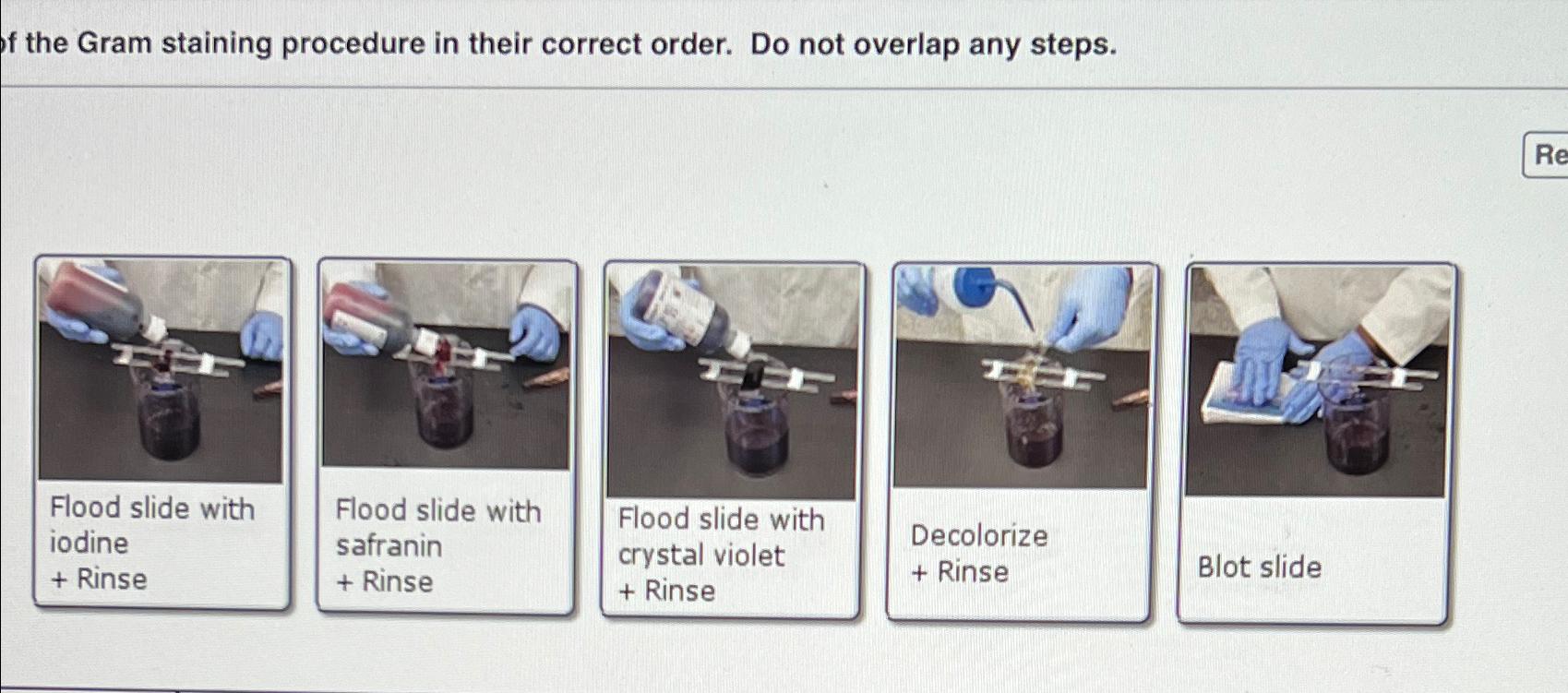 Solved f the Gram staining procedure in their correct order. | Chegg.com